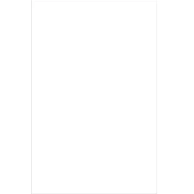Leneta Form WH Plain White Chart - HJ Unkel Chemicals